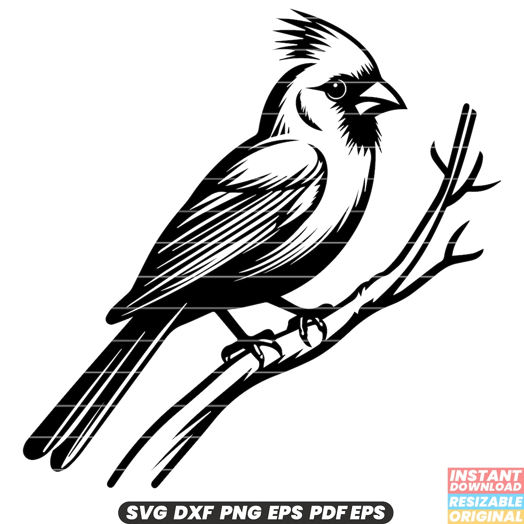 Cardinal Bird SVG, Cardinal Bird DXF, Cardinal Bird PNG: Vibrant Avian ...