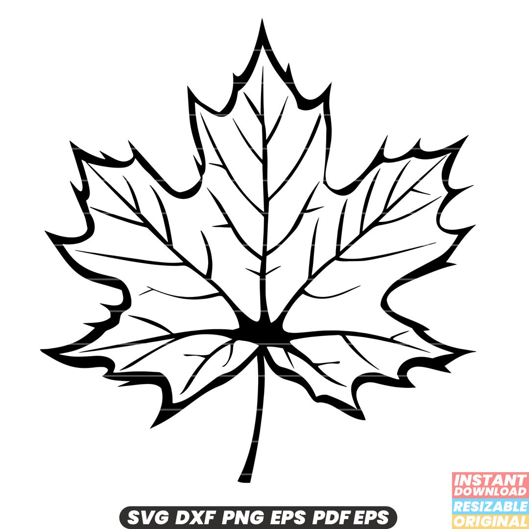 Maple Leaf SVG Autumn Illustration Maple Leaf Clipart Fall Graphic ...