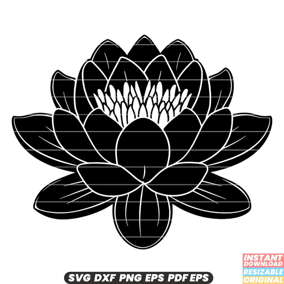 Water Lily SVG Flower Illustration Aquatic Plant Clipart Lily Pad ...