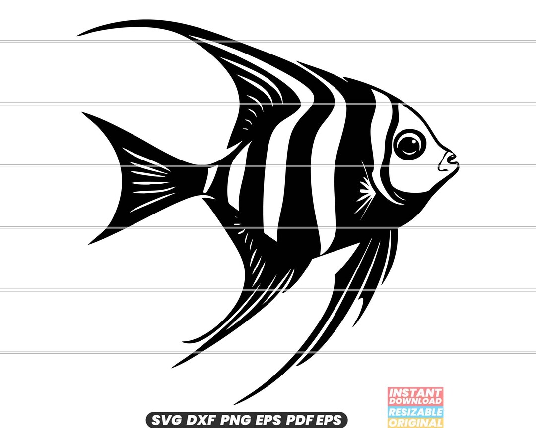Angelfish Svg, Angelfish Dxf, Angelfish Png, Angelfish Cut File ...