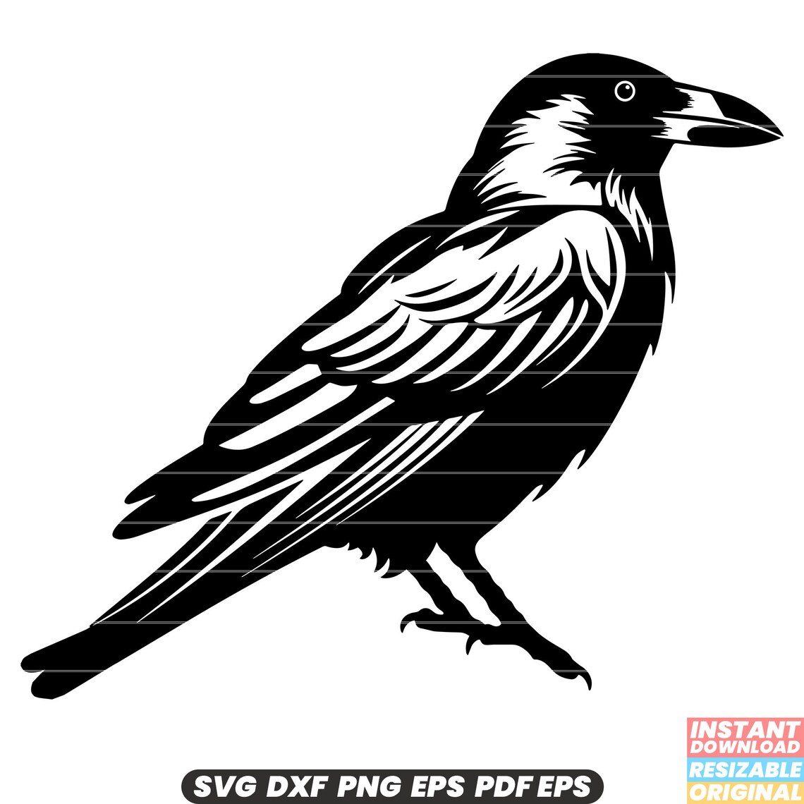 Raven SVG, Raven DXF, Raven PNG Digital Designs Instant Download 2 - Etsy
