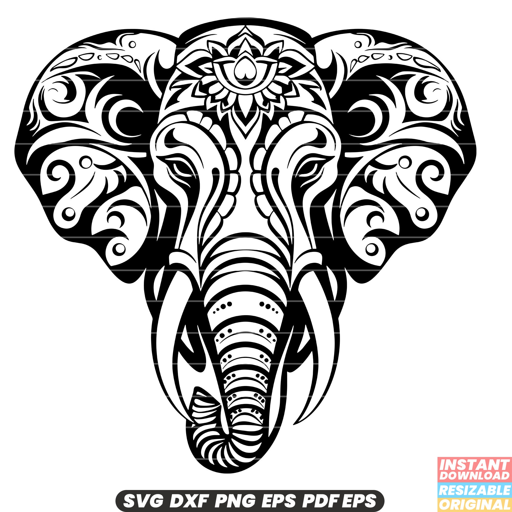 Indian Elephant Wildlife Animal India Asia Trunk Tusks Majestic Mammal ...