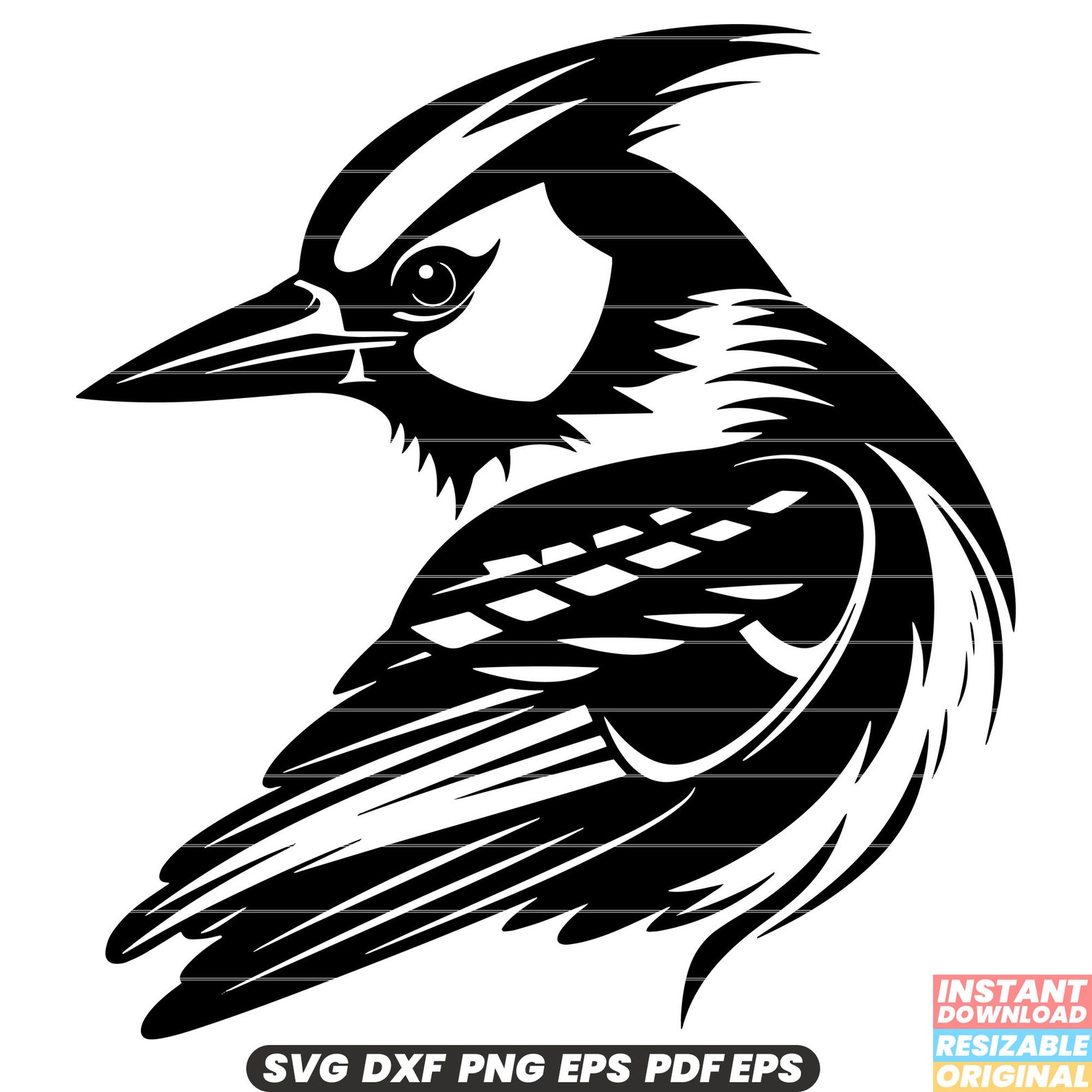 Jay SVG, Jay DXF, Jay PNG Digital Designs Instant Download - Etsy