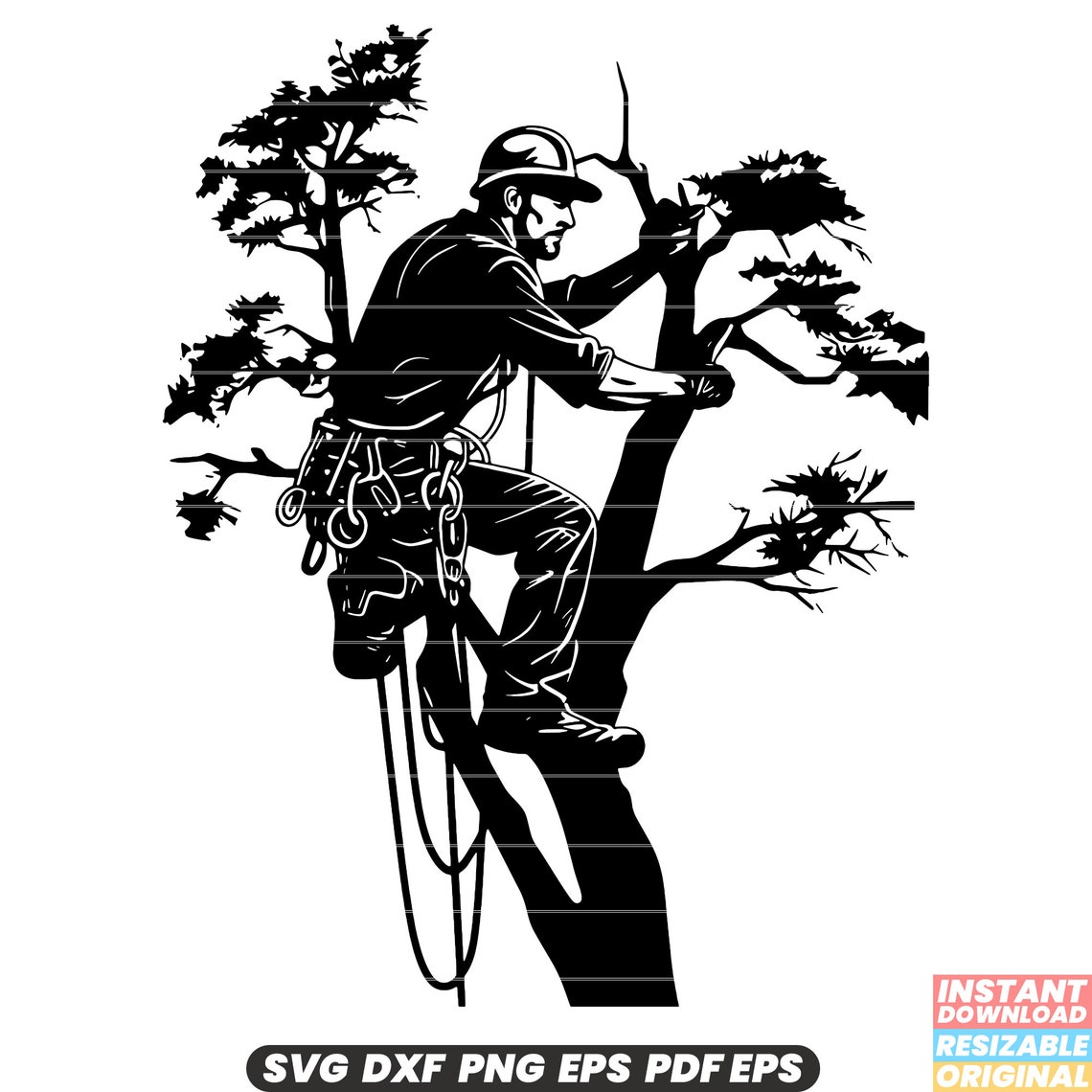 Tree Surgeon Arborist Tree Care Pruning Trimming Removal Professional ...