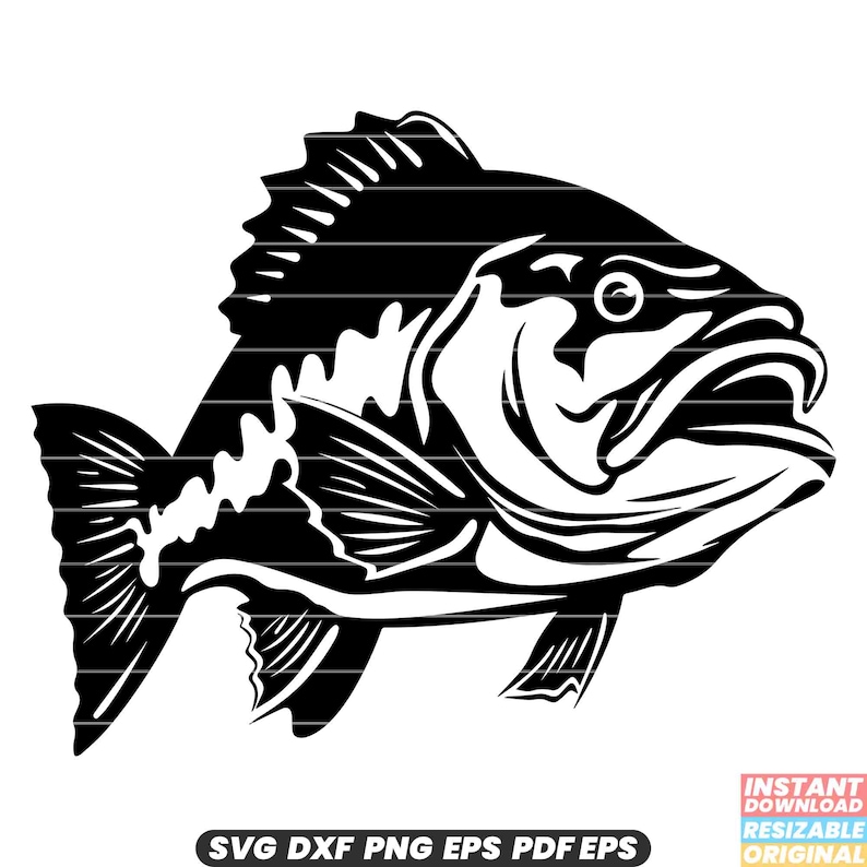 Goliath Grouper SVG Fish Marine Creature Ocean Wildlife Underwater ...