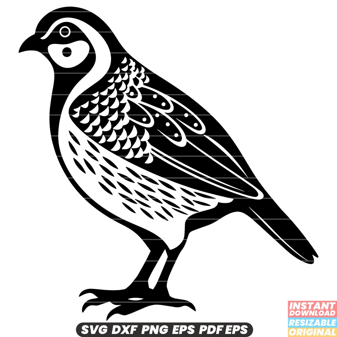 Quail Bird Avian Wildlife Nature Feathered Small Game Bird SVG DXF PNG ...
