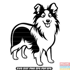 Shetland Dog SVG - Adorable Canine, Pet Illustration, Shetland Sheepdog ...
