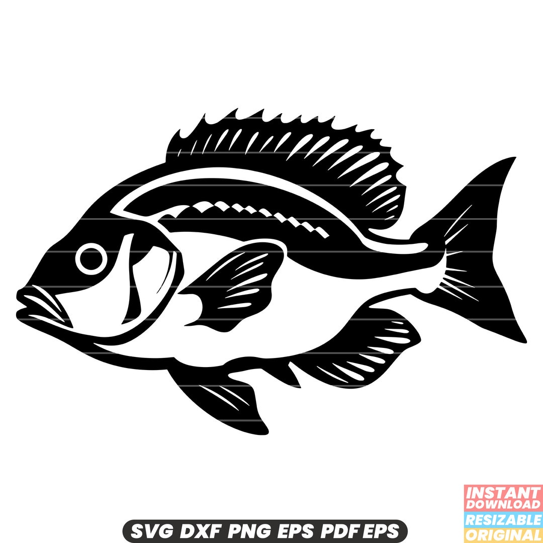 Snapper Fish Marine Seafood Red Snapper Saltwater Catch Fishing ...