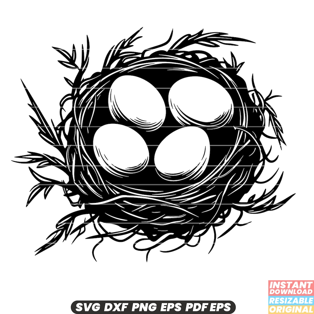 Bird Nest Wildlife Habitat Nature Eggs Tree Branch Nesting Feathers ...