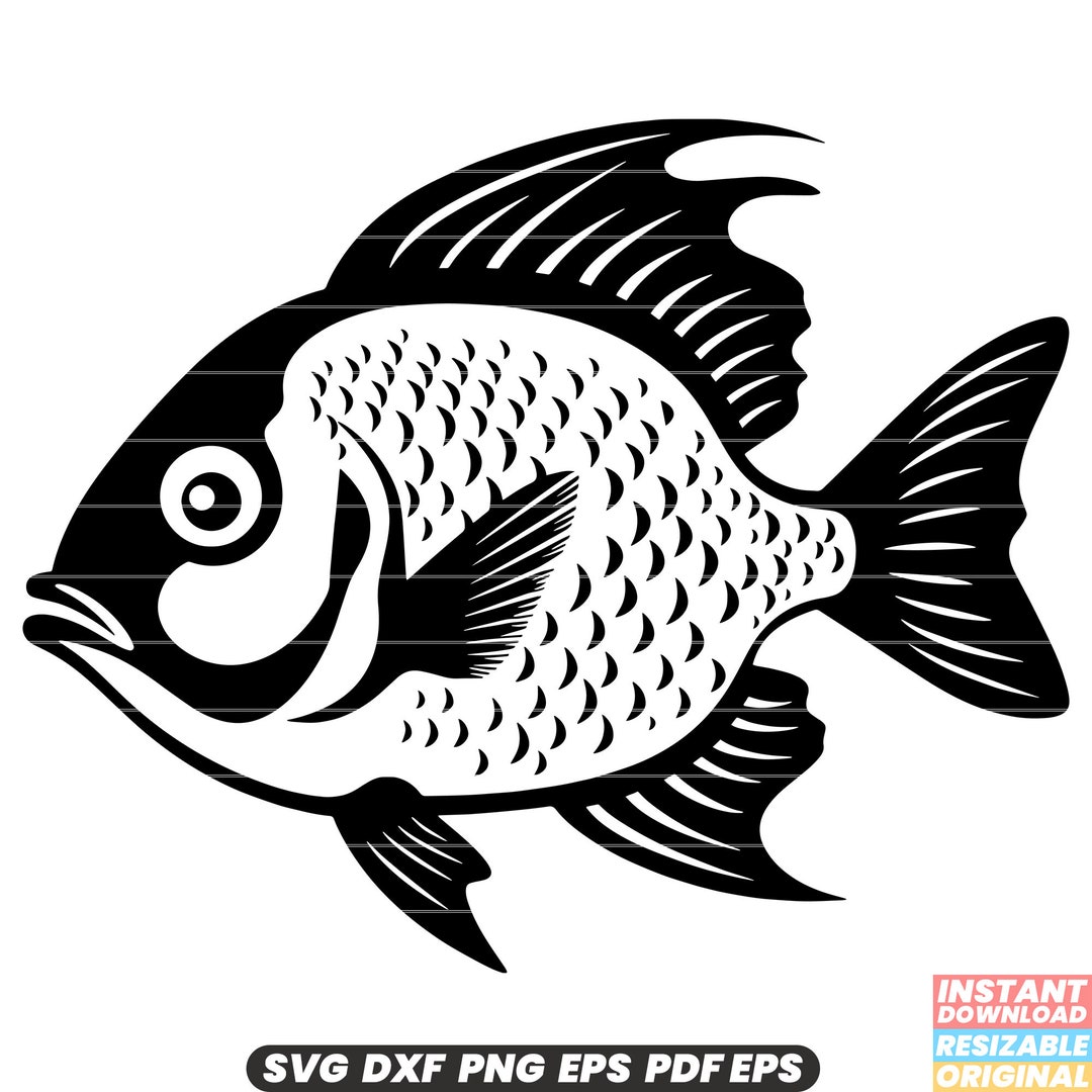 Panfish Fish Freshwater Catch Angling Bluegill Crappie Perch Sunfish ...