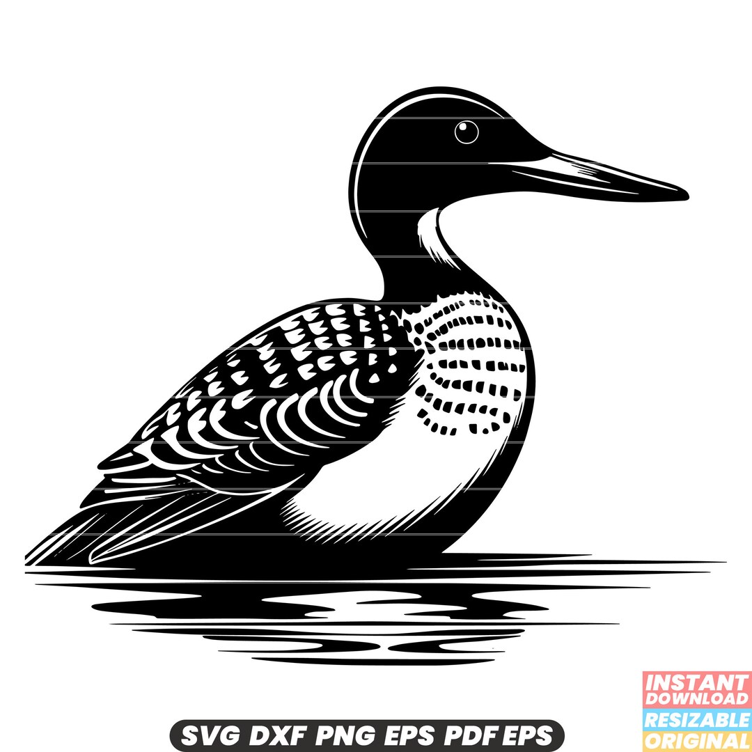 Loon Bird Waterfowl Diving Aquatic Wildlife Nature Lake Migratory ...