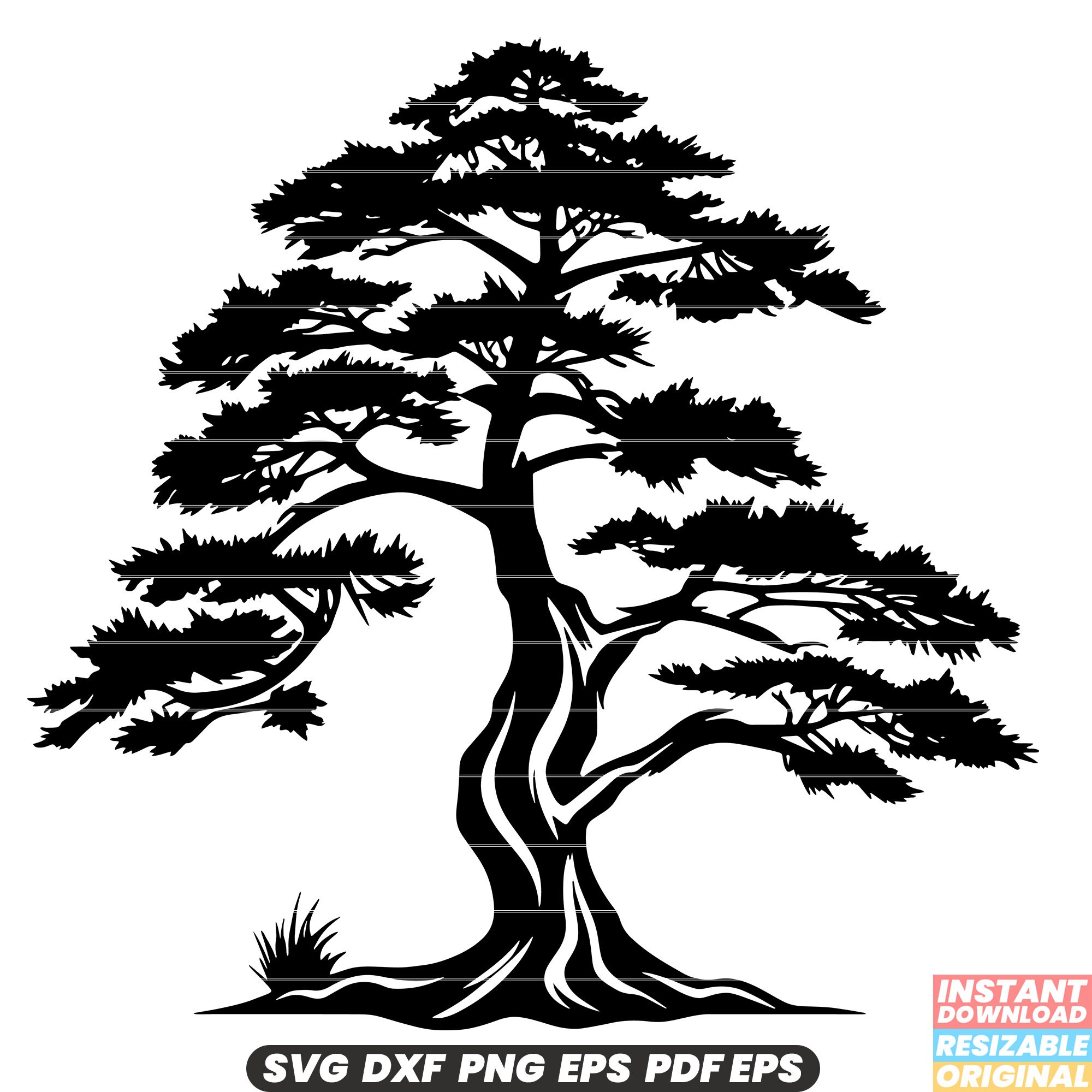 Pine Tree SVG, Pine Tree DXF, Pine Tree PNG Digital Designs Instant Download 3 - Etsy