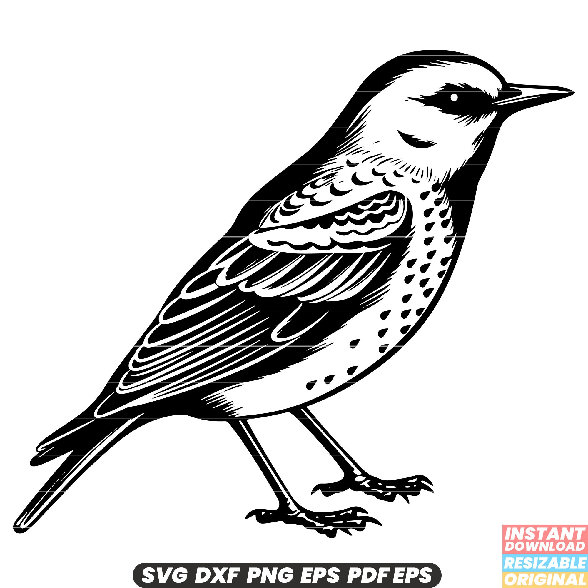 Starling SVG Starling DXF Starling PNG Avian Designs for Birdwatchers ...