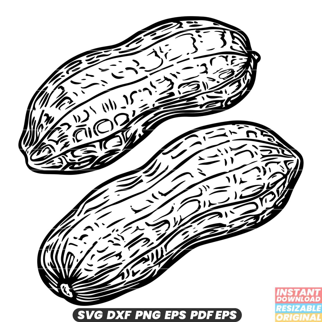 Peanut SVG Nut Food Ingredient Snack Protein Healthy DXF PNG Cut File ...