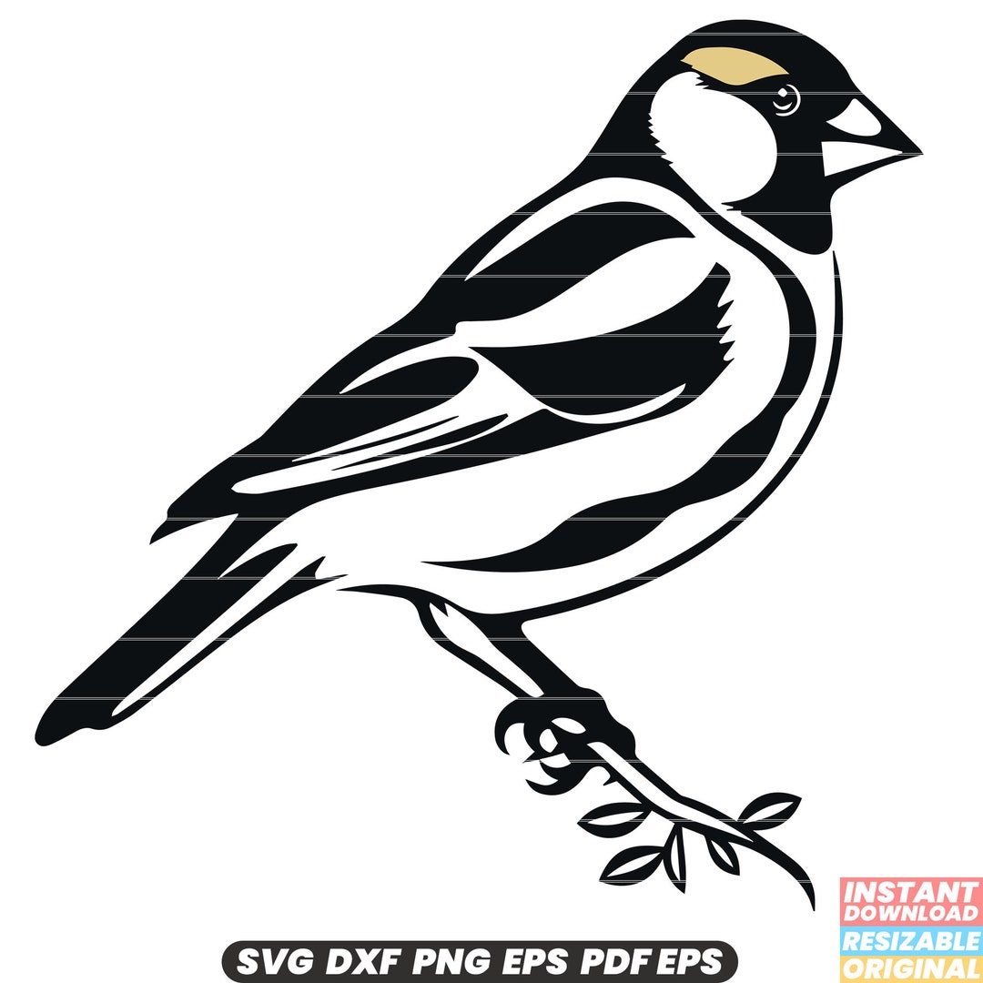 Goldfinch Bird Avian Species Yellow Feathers Wildlife Nature SVG DXF ...