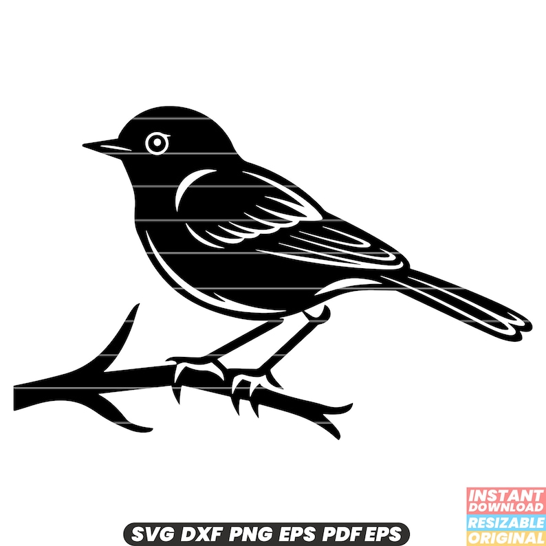 Nightingale Bird Songbird Melodious Singer Night Wildlife Nature ...