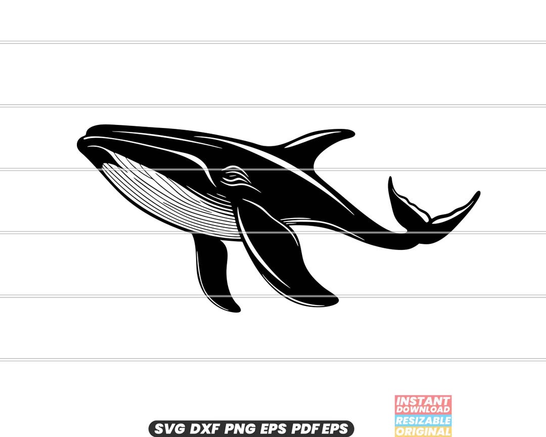 Blue Whale Svg, Blue Whale Dxf, Blue Whale Png, Blue Whale Cut File ...