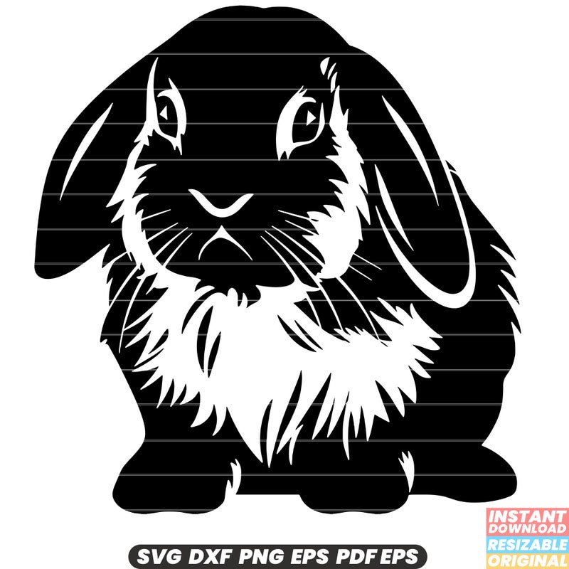 Rabbit Svg - Etsy