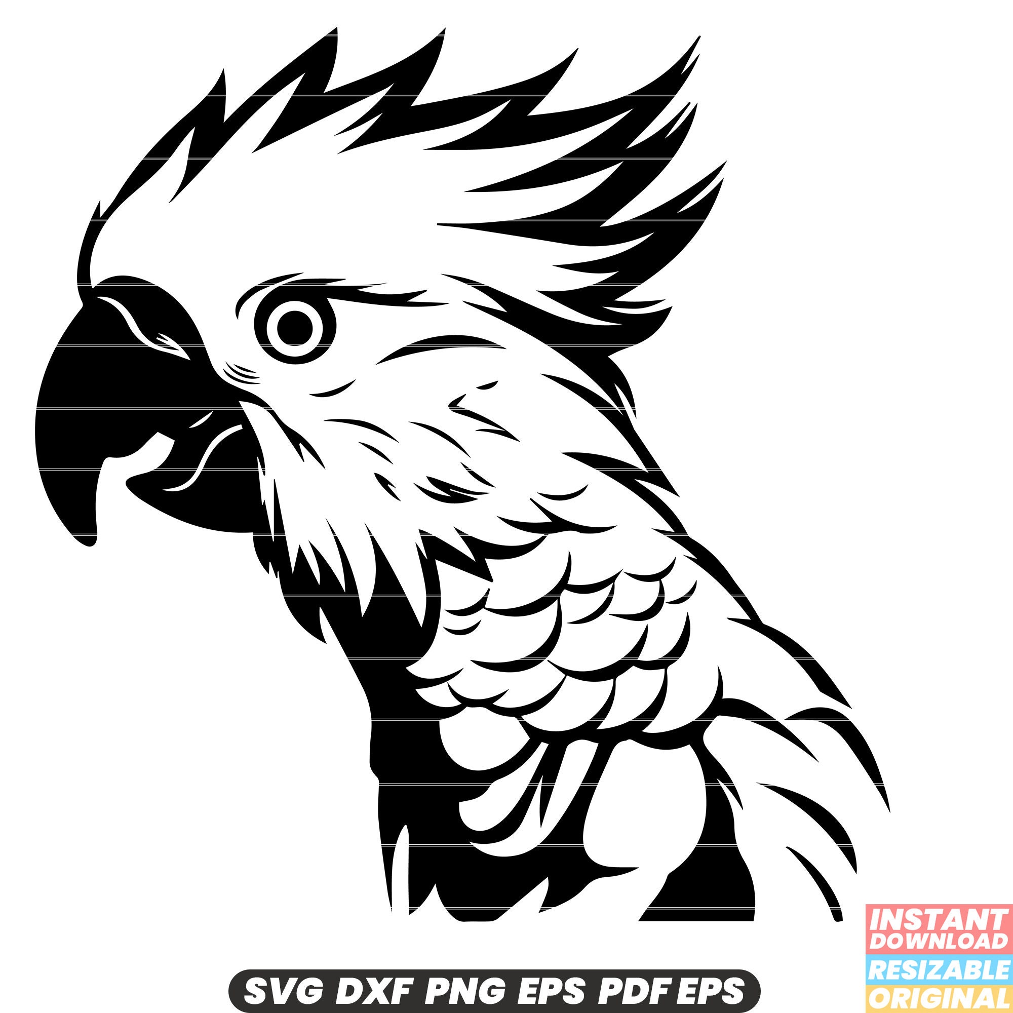 Cockatoo Bird Parrot Exotic Crested Feathered Pet Wildlife Avian ...