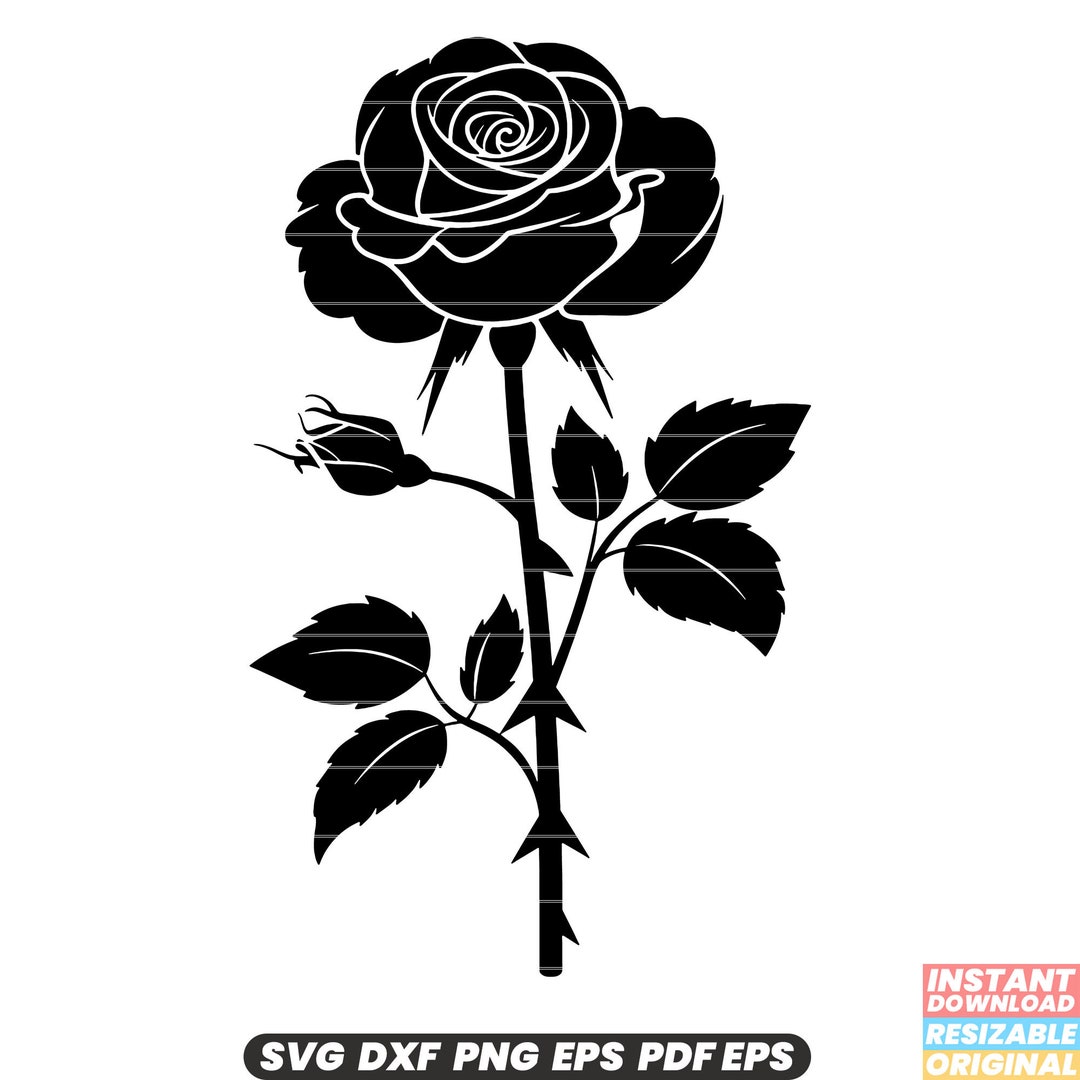 One Rose SVG Floral Illustration One Rose Clipart Romantic Graphic ...