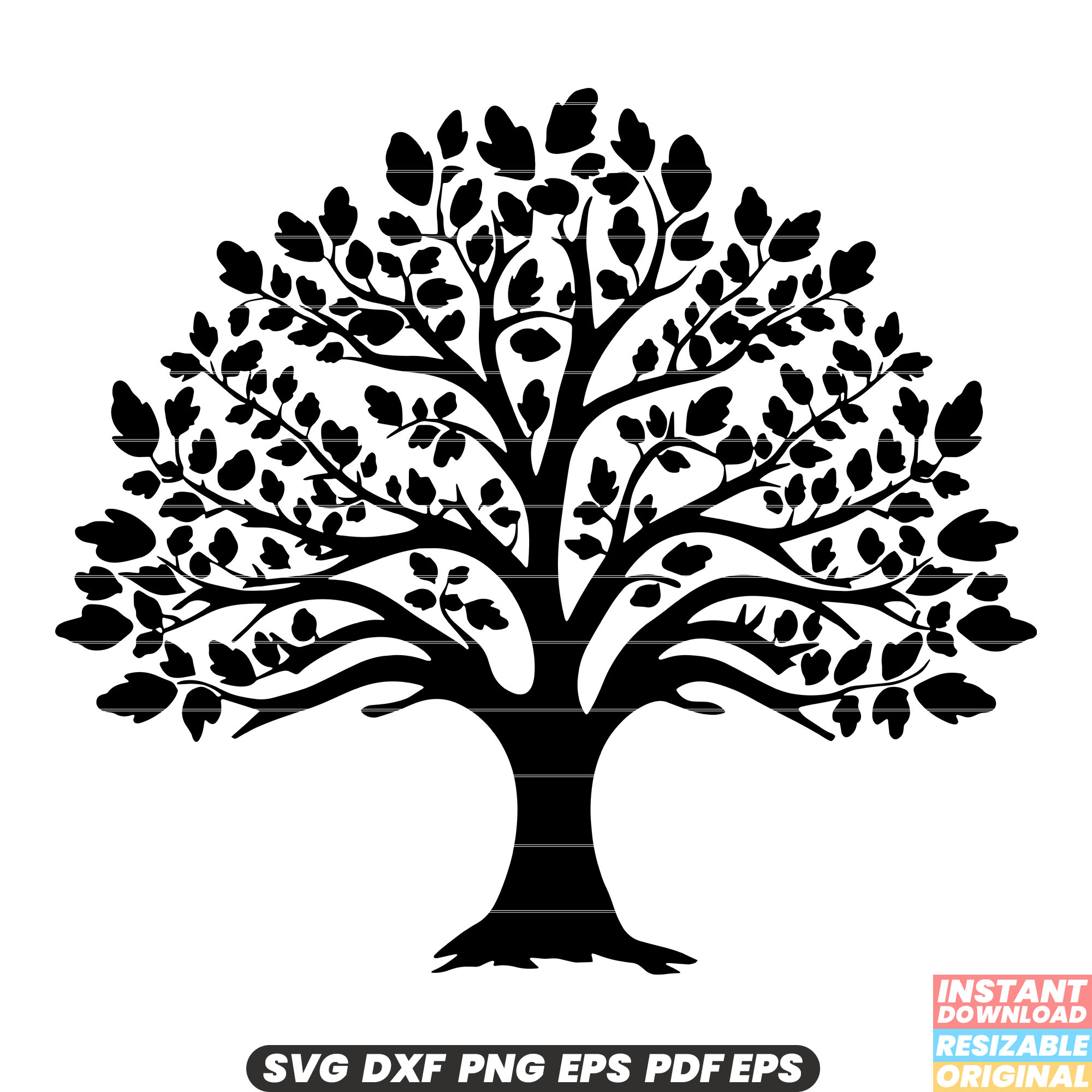 Oak Tree Nature Forest Woodland Timber Bark Leaves Acorn Strong ...