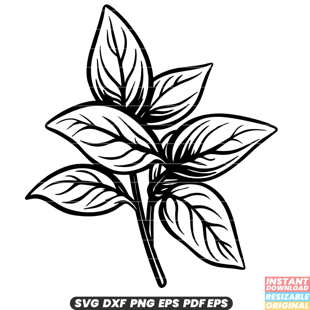 Basil SVG, DXF, PNG, Fragrant Herb Cut File, Cooking Ingredient Clipart ...