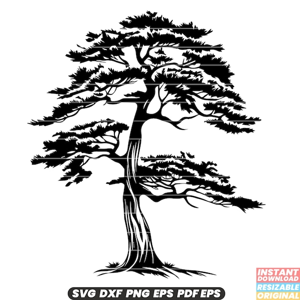 Cedar Tree Svg - Etsy