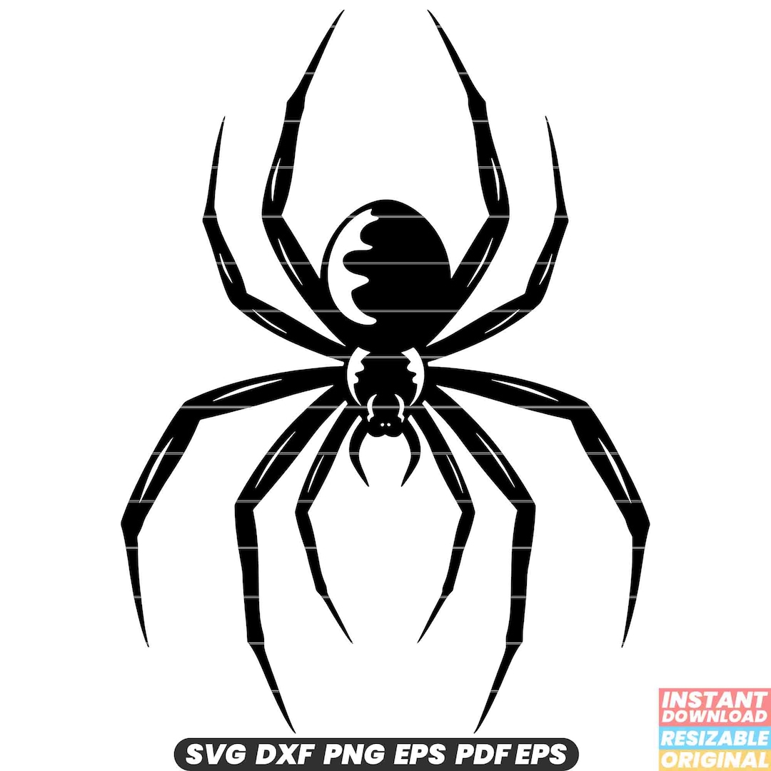 Spider SVG - Arachnid Illustration, Creepy Insect Graphic, Halloween ...