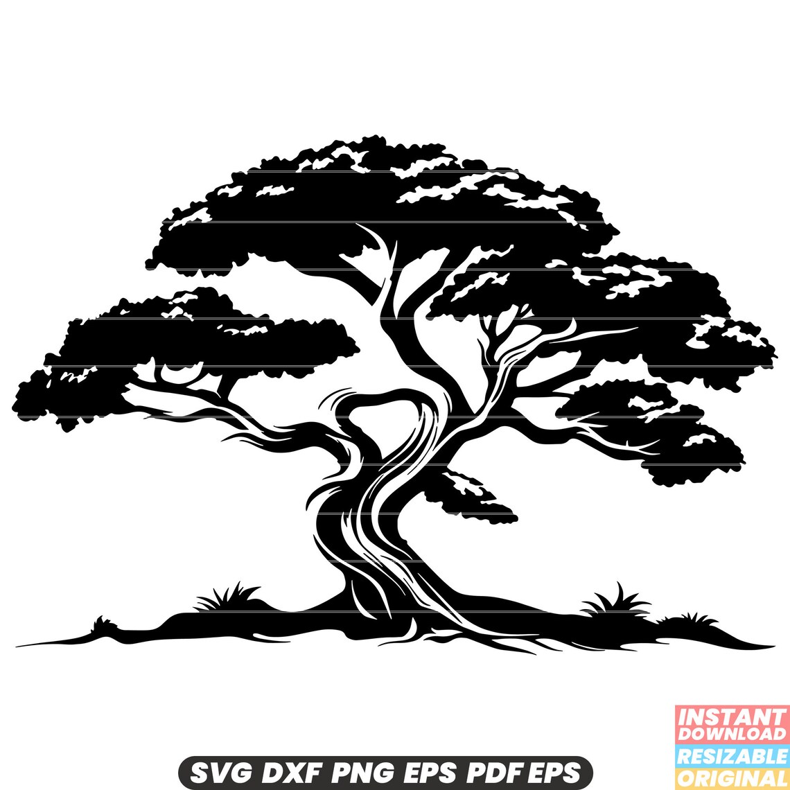 Juniper Tree Conifer Evergreen Nature Botanical Pine Forest SVG DXF PNG ...