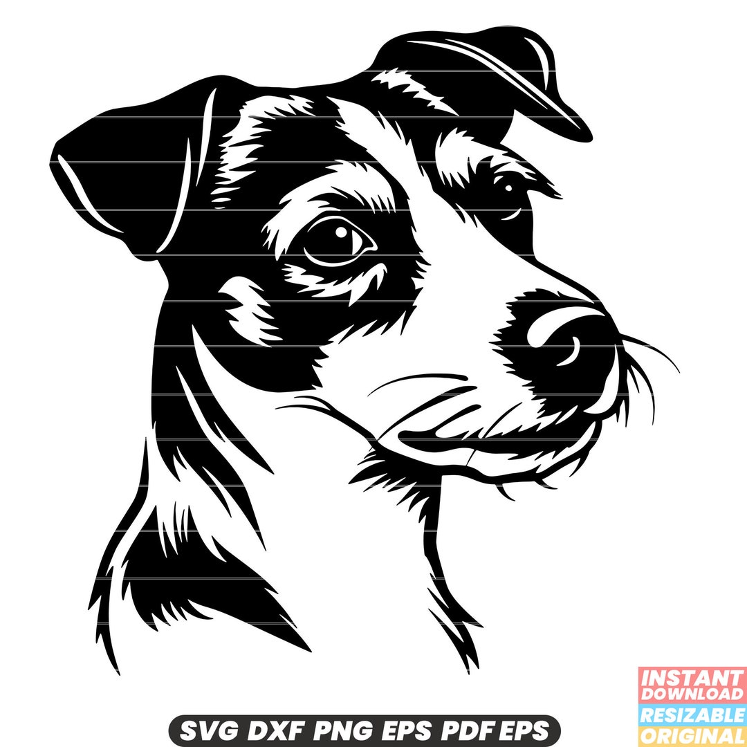 Jack Russell SVG Terrier Illustration Jack Russell Clipart Dog Breed ...