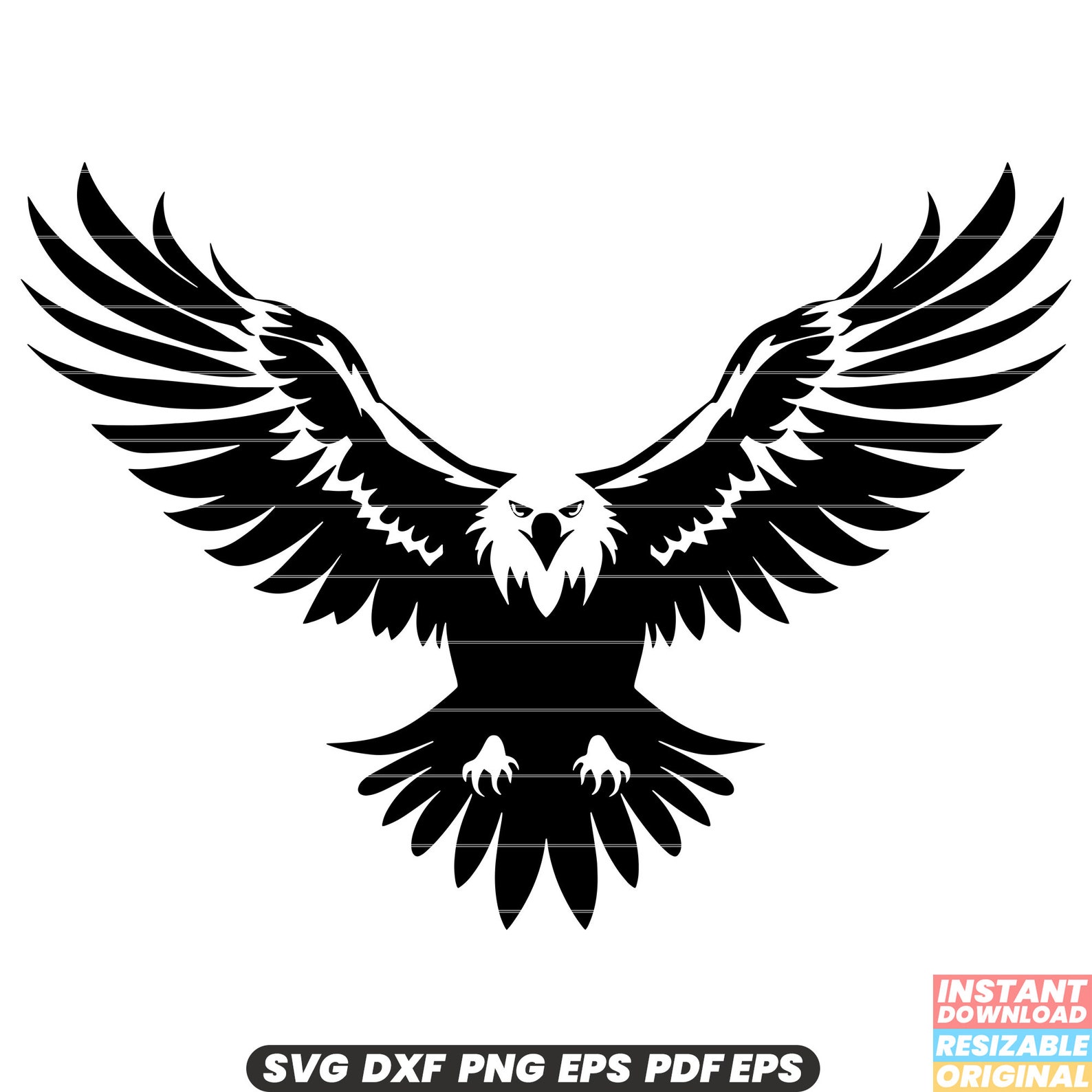 Eagle Flying Bird Wildlife Nature Soaring Wings Predator Freedom ...