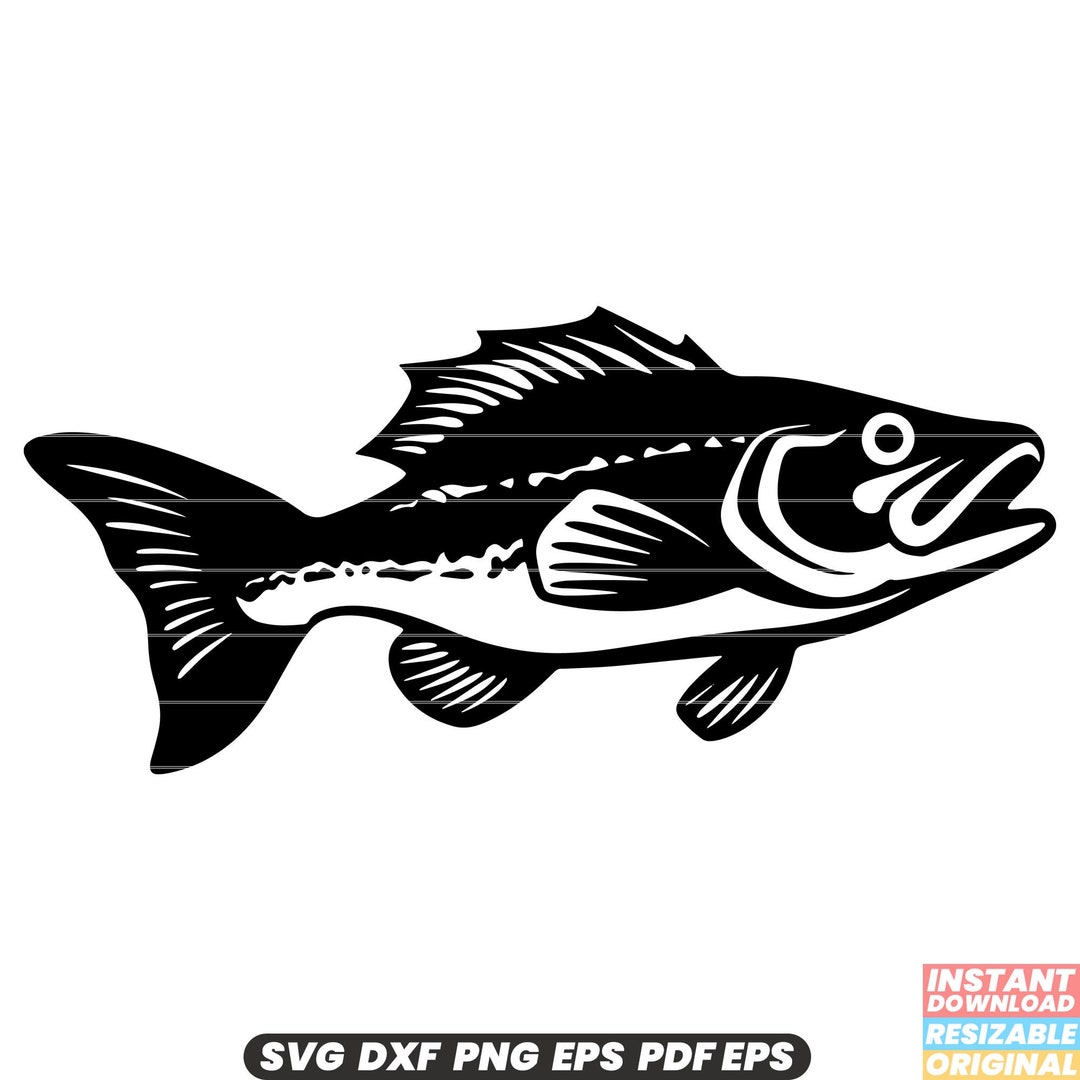 Walleye Fish Freshwater Game Fishing Angling Sander Pikeperch North ...