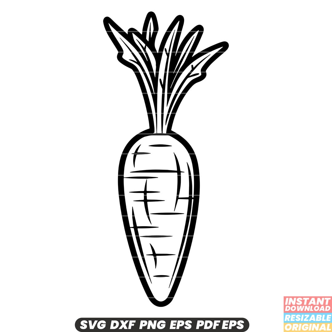 Carrot SVG, Carrot DXF, Carrot PNG: Fresh Vegetable Digital Art for ...