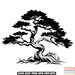 Juniper Tree Evergreen Coniferous Aromatic Timber Flora Nature SVG DXF ...