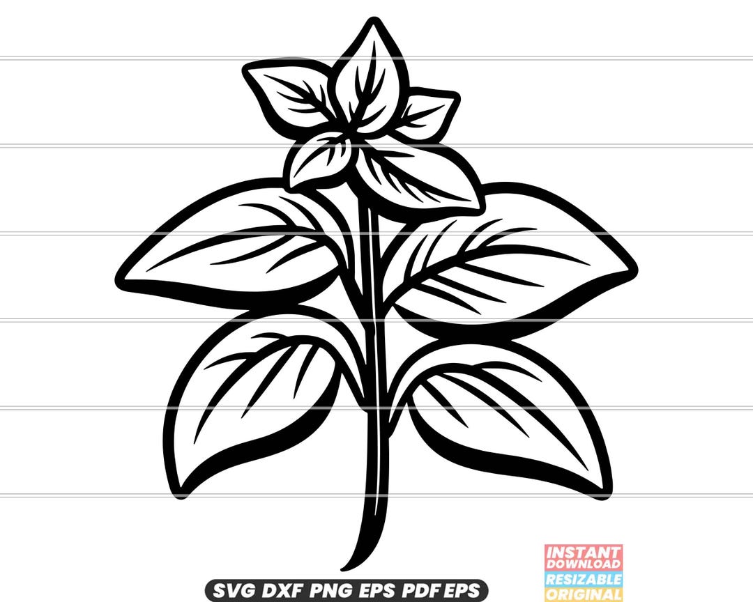 Basil Svg, Basil Dxf, Basil Png, Basil Cut File, Basil Clipart, Basil ...