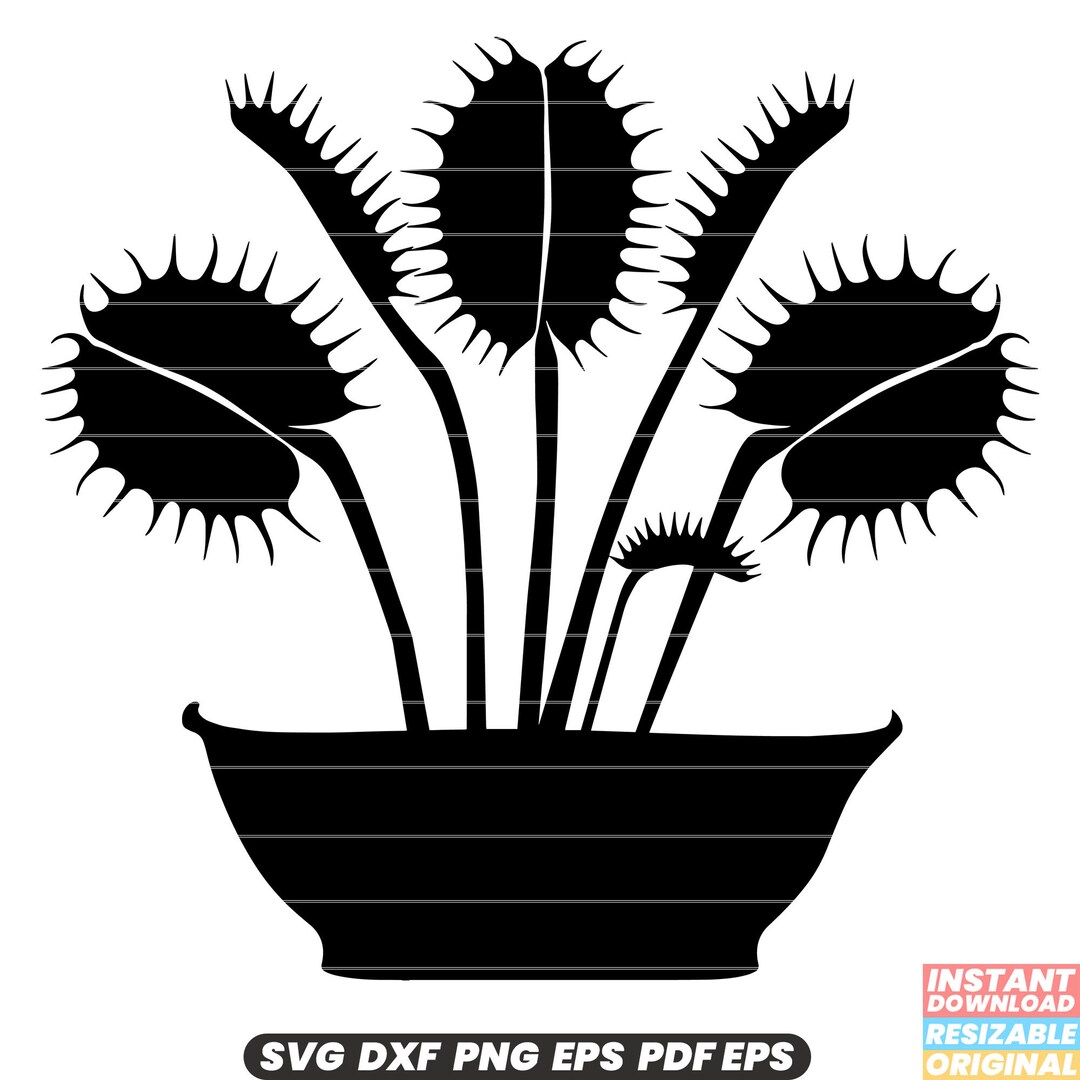 Venus Flytrap SVG Venus Flytrap Plant Carnivorous Botanical Illustration Nature Clipart Venus ...