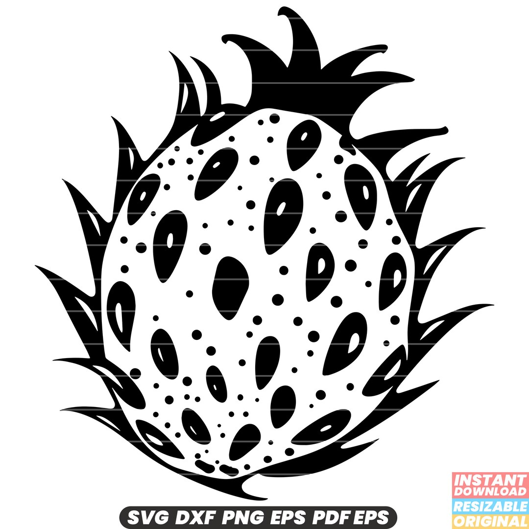 Dragon Fruit Tropical Exotic Fruit Pitaya Cactus Family Edible Sweet ...