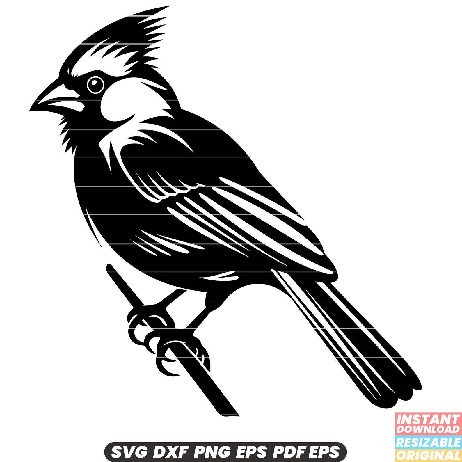 Cardinal Bird Red Feathered Songbird Wildlife Nature Avian Perching ...