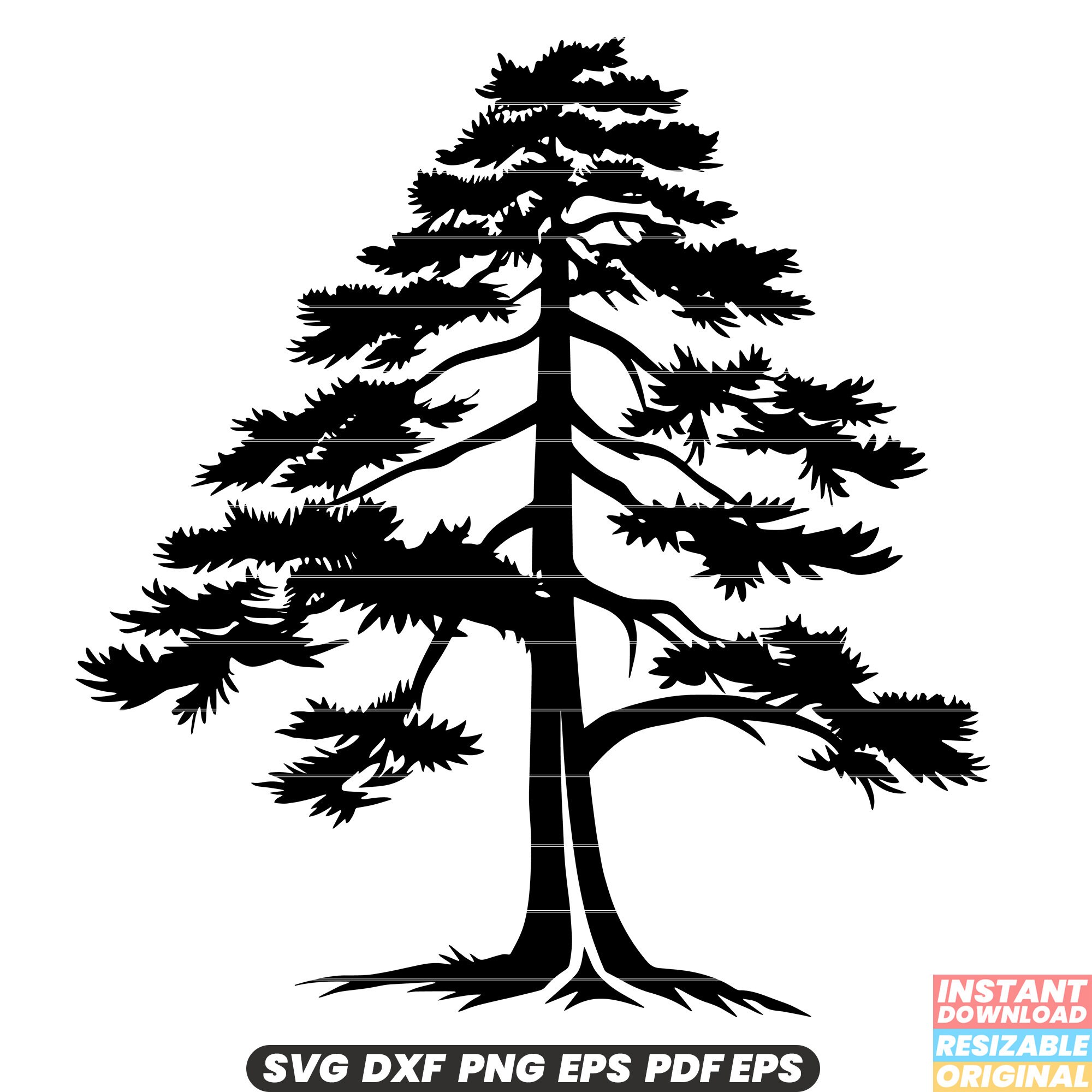 Pine Tree SVG, Pine Tree DXF, Pine Tree PNG Digital Designs Instant ...