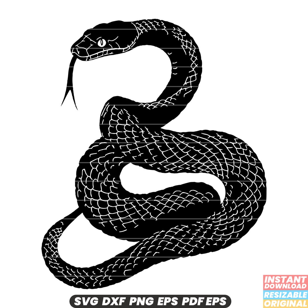 Snake SVG Reptile Illustration Snake Clipart Serpent Graphic Wildlife ...