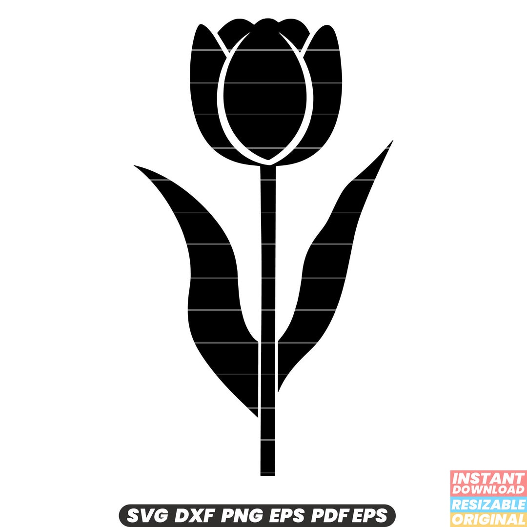Tulip SVG Floral Illustration Tulip Clipart Flower Graphic Spring ...