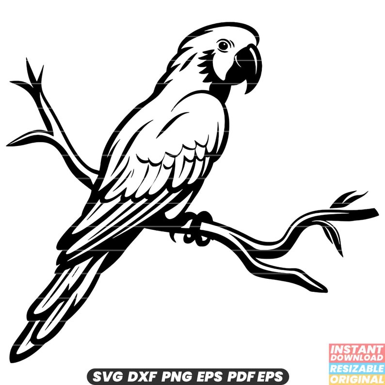 Parrot SVG Tropical Bird Wildlife Feathered Nature Colorful DXF PNG Cut ...