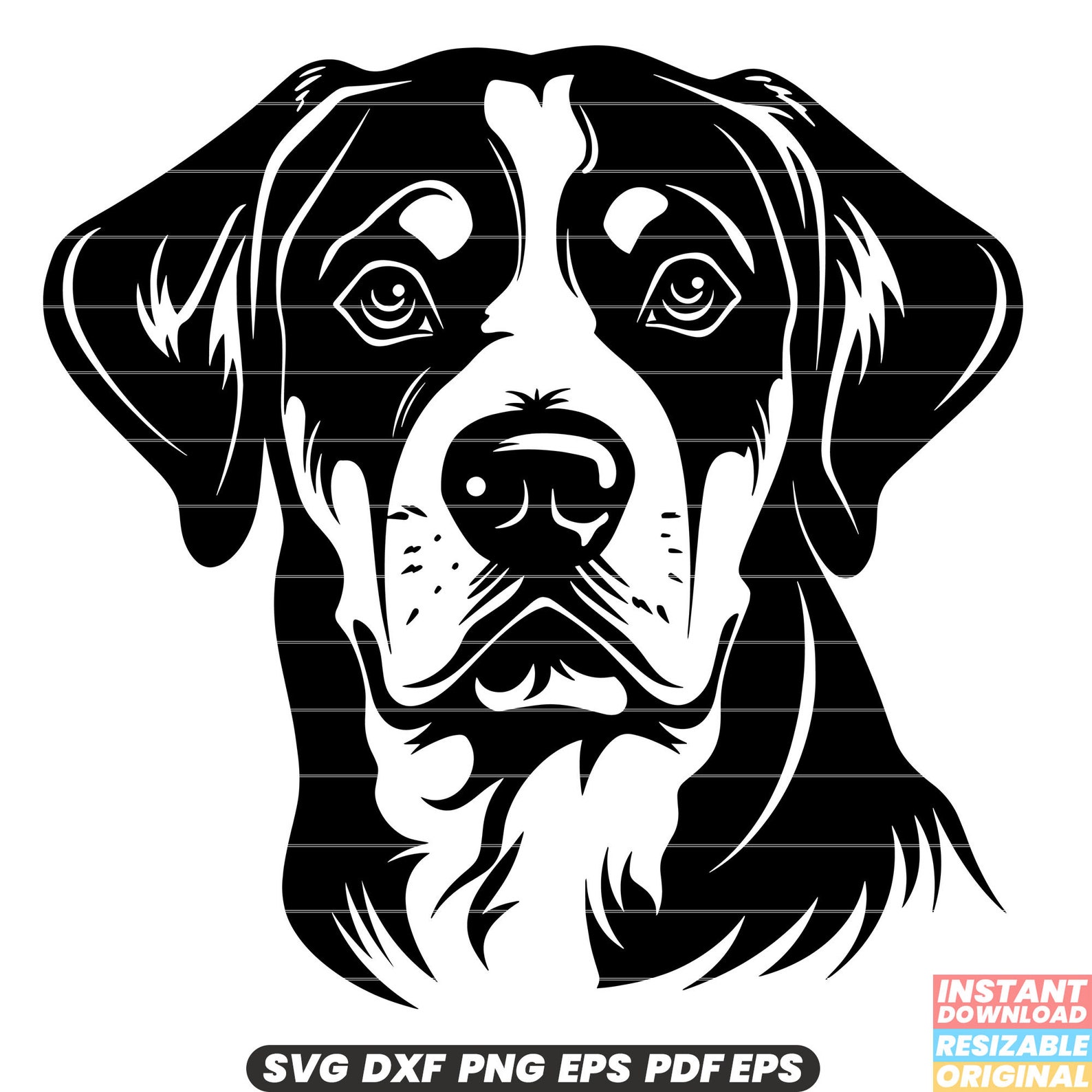 Greater Swiss Dog SVG Strong Canine, Pet Illustration, Greater Swiss ...