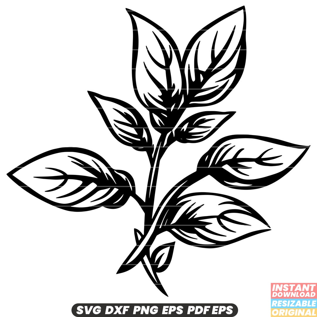 Basil SVG, DXF, PNG, Fragrant Herb Cut File, Cooking Ingredient Clipart ...