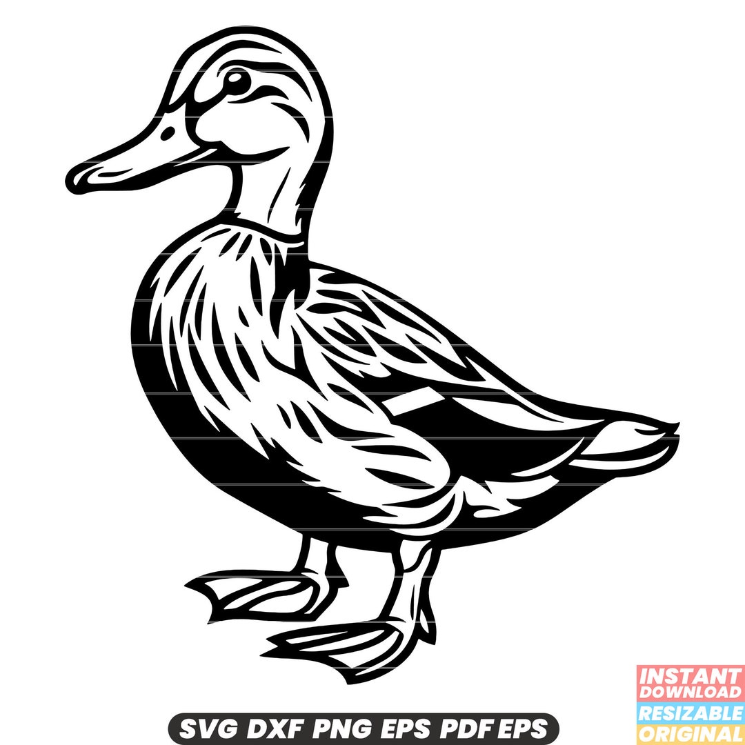 Wild Duck SVG Waterfowl Illustration Duck Clipart Bird Graphic Wildlife ...