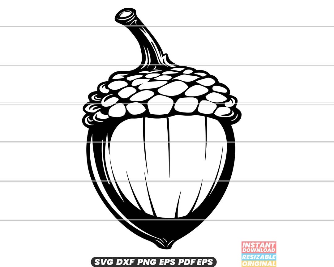 Acorn Svg, Acorn Dxf, Acorn Png, Acorn Cut File, Acorn Clipart, Acorn ...