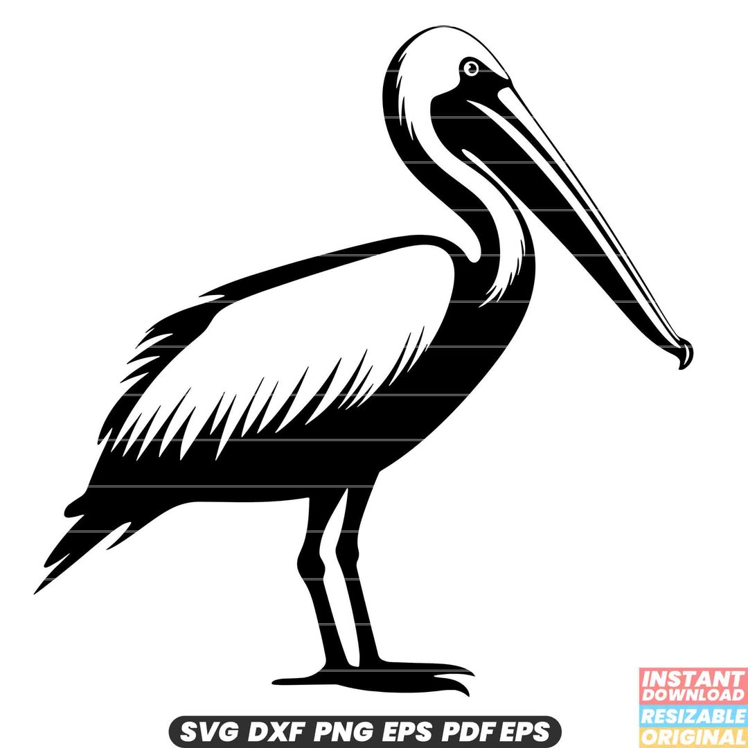 Pelican SVG Bird Wildlife Coastal Seabird Ocean Nature DXF PNG Cut File ...