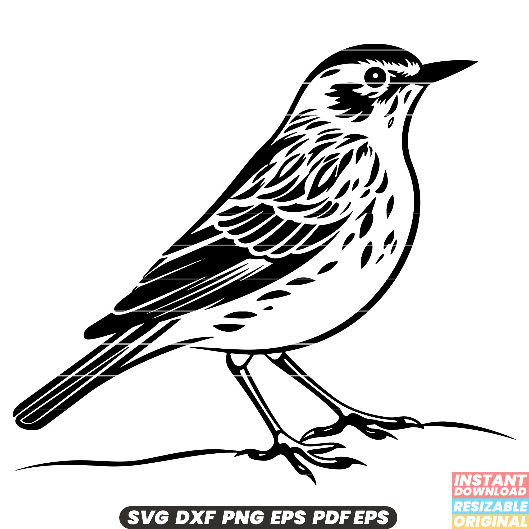 Pipit SVG, Pipit DXF, Pipit PNG Digital Designs Instant Download 1 - Etsy