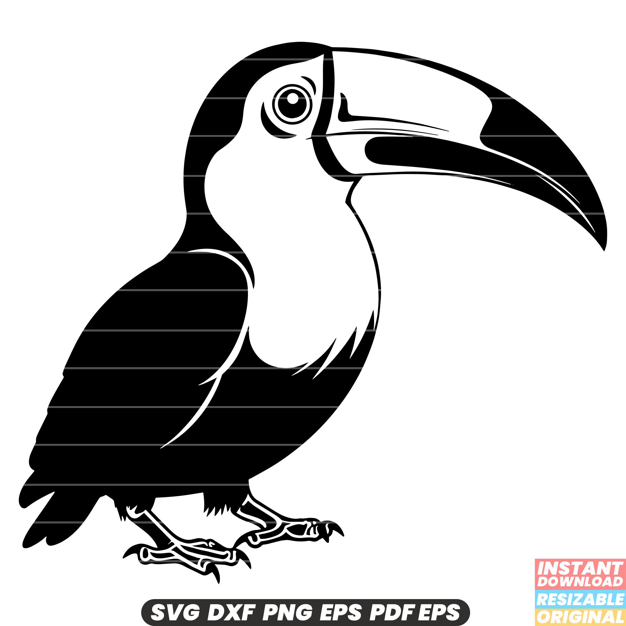 Toucan SVG Toucan DXF Toucan PNG Exotic Bird Designs for Birdwatchers ...