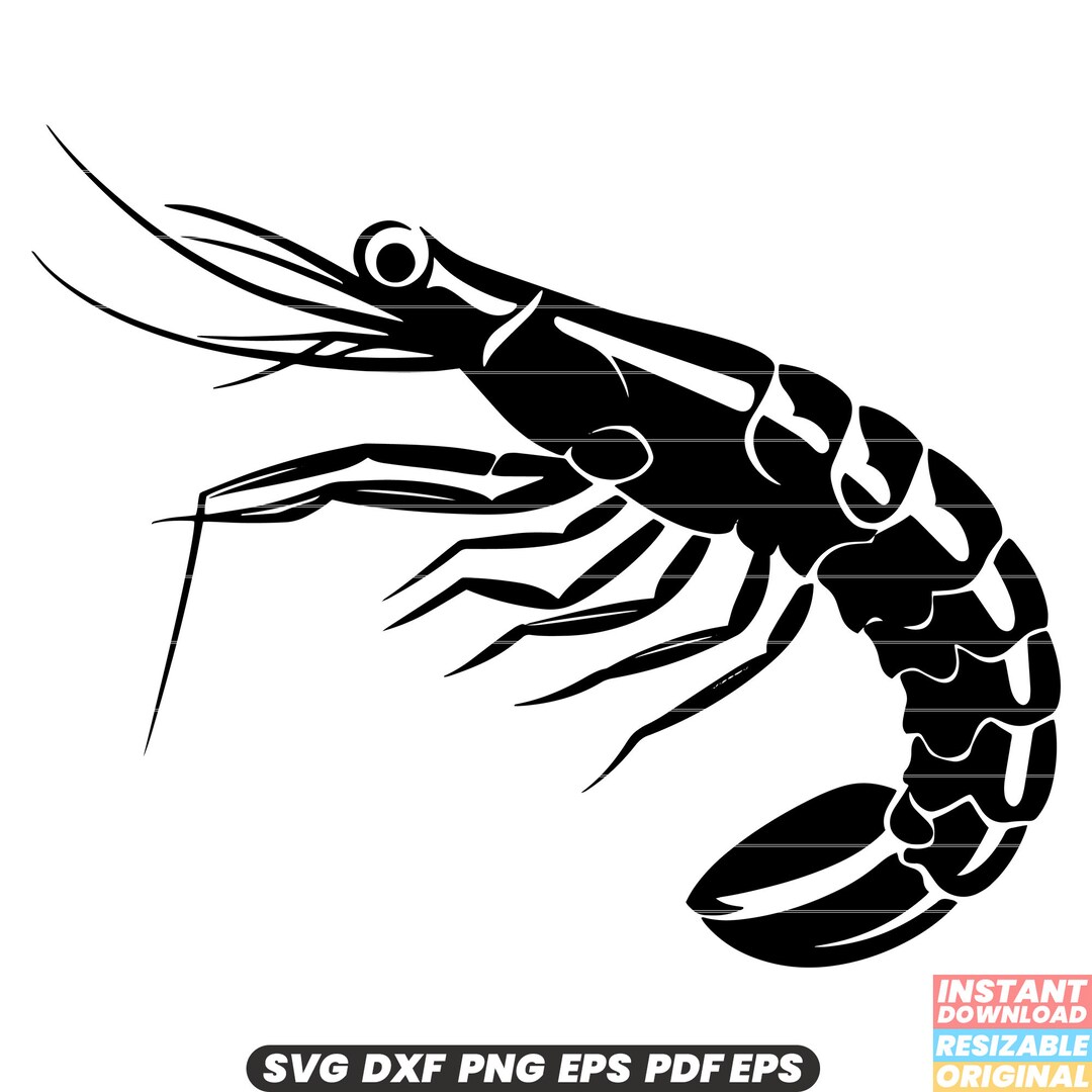 Prawn Shrimp Crustacean Seafood Marine Ocean Animal SVG DXF PNG Cut ...